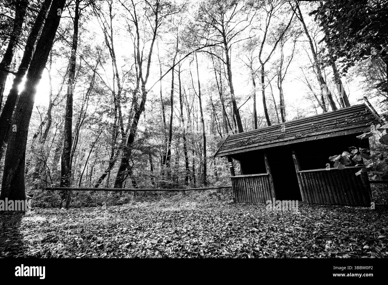Rustic vibes Black and White Stock Photos & Images - Alamy