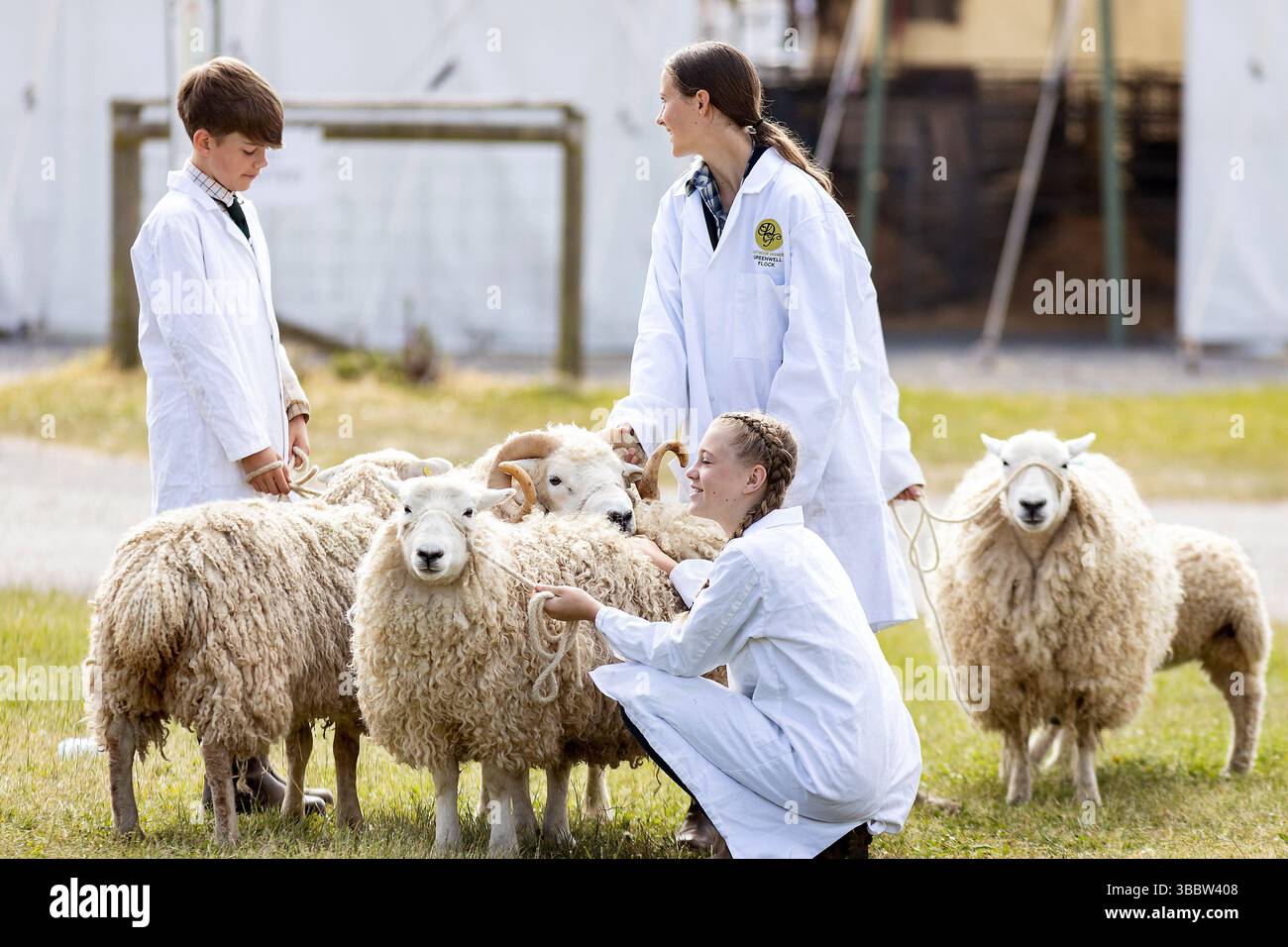 Exeter, UK. 17TH May 2025. Young Farmers take centre stage at the 2025 ...
