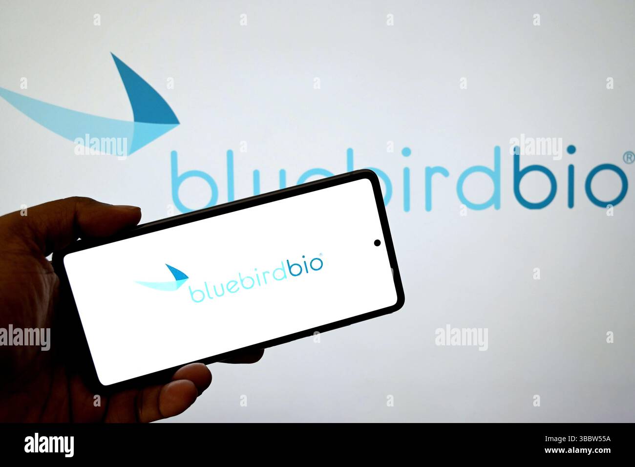 In this photo illustration, a Bluebird bio logo is seen displayed on a ...