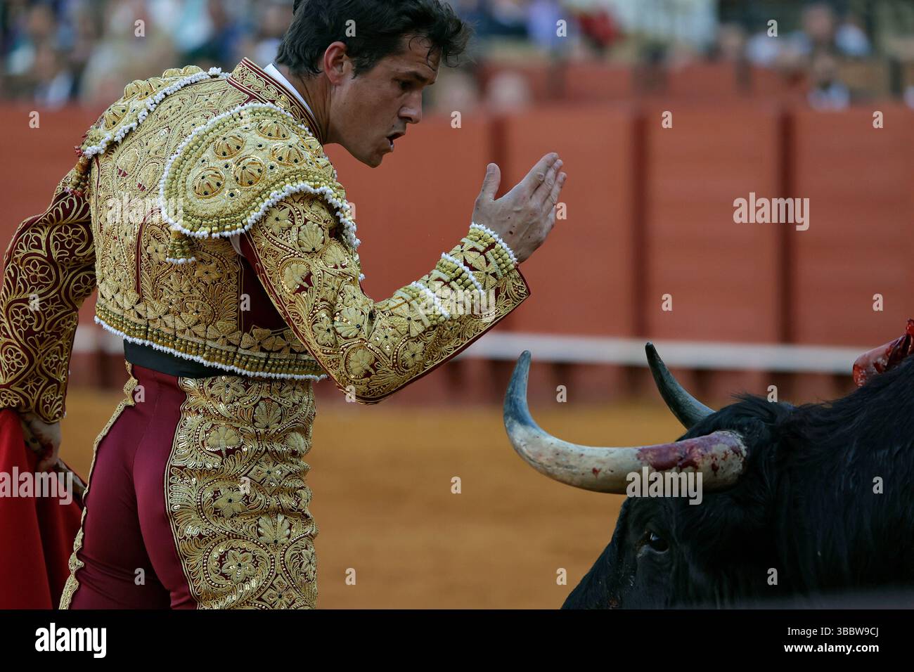 Seville, May 9, 2025. Bullfight held at La Maestranza for bullfighters ...