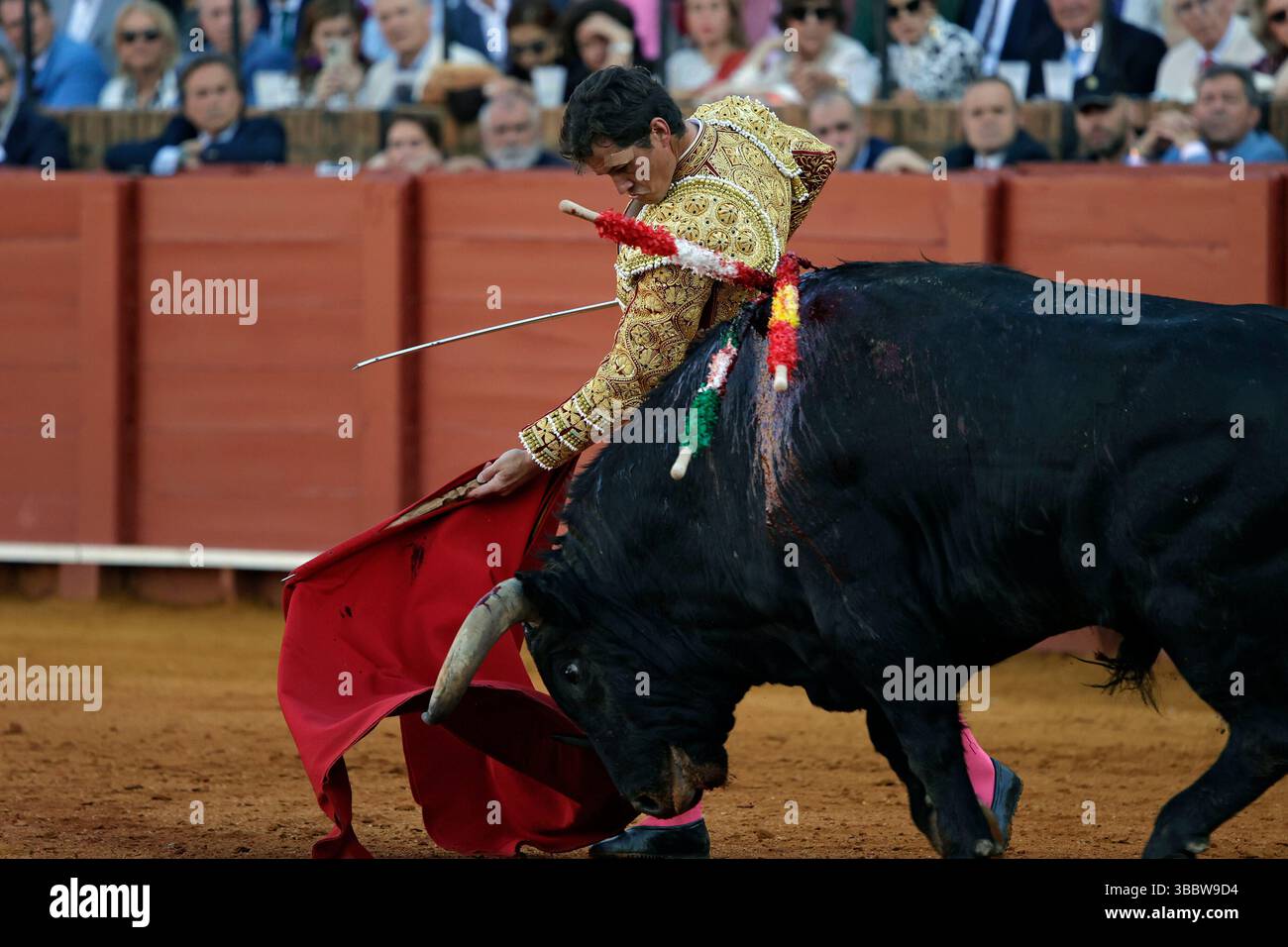 Seville, May 9, 2025. Bullfight held at La Maestranza for bullfighters ...
