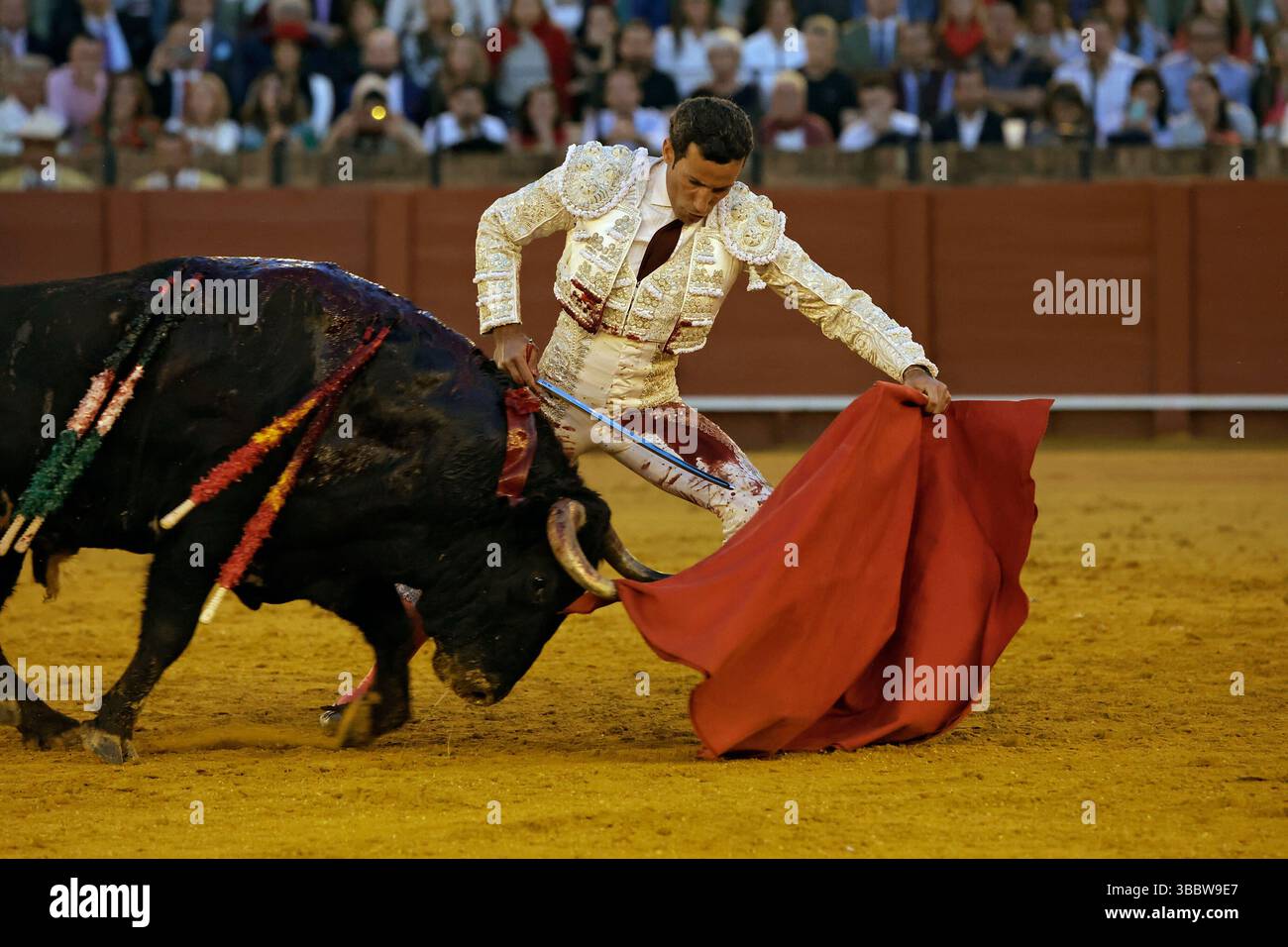 Seville, May 10, 2025. Bullfight held at La Maestranza for bullfighters ...