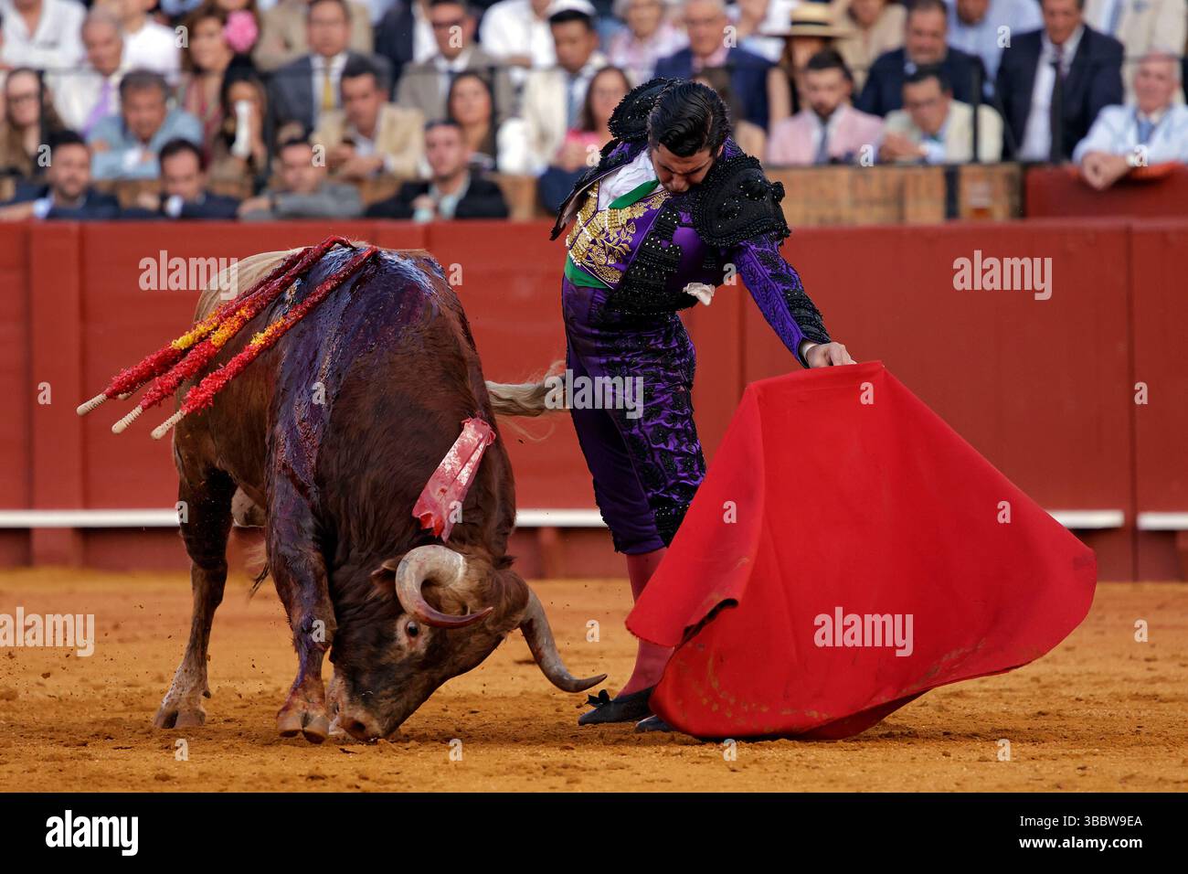 Seville, May 9, 2025. Bullfight held at La Maestranza for bullfighters ...