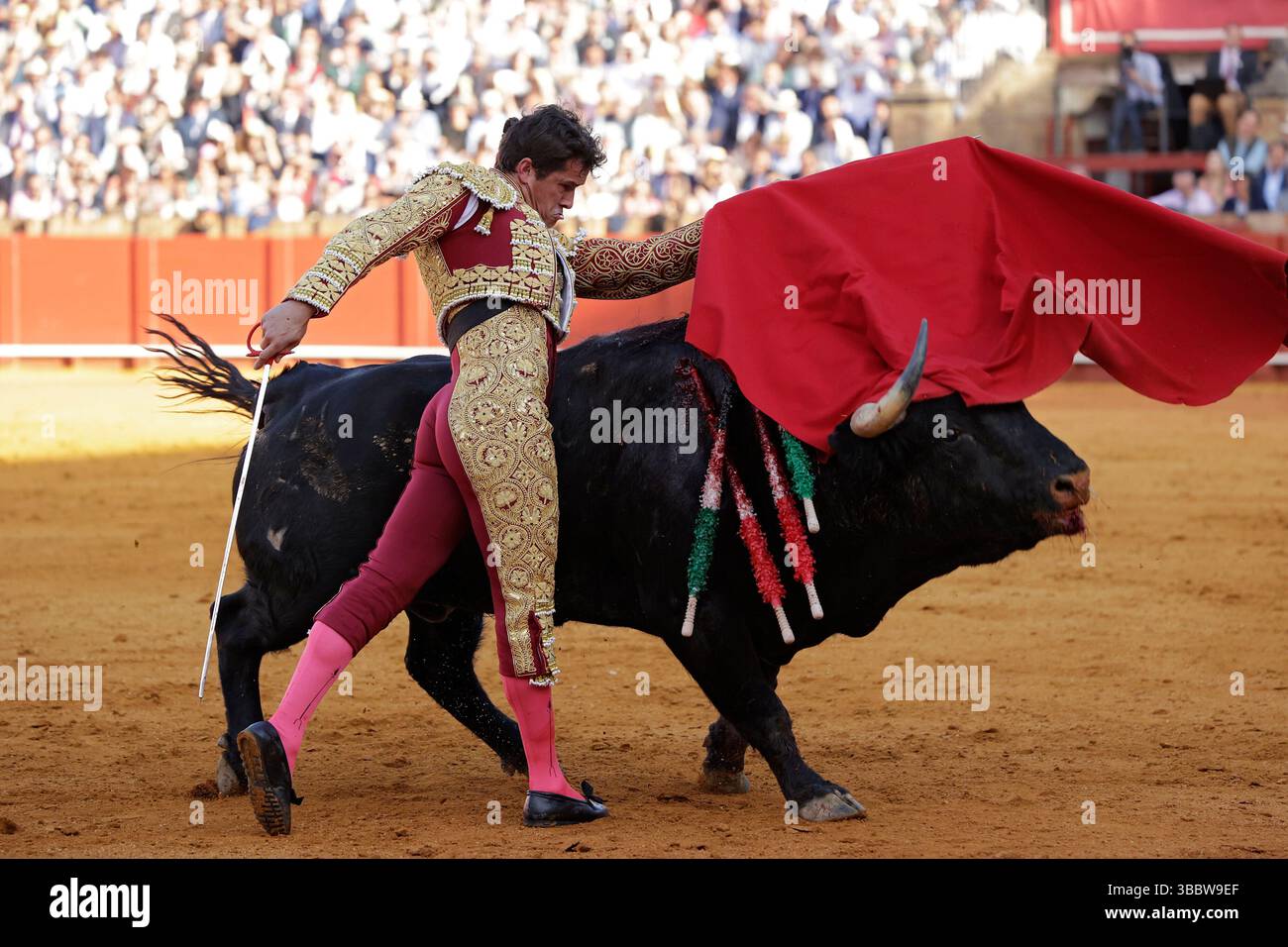 Seville, May 9, 2025. Bullfight held at La Maestranza for bullfighters ...