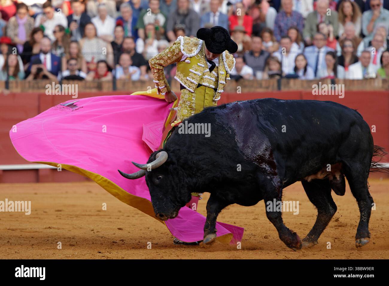 Seville, May 10, 2025. Bullfight held at La Maestranza for bullfighters ...