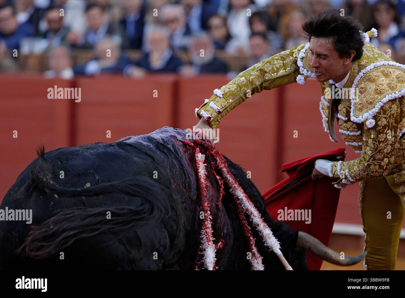 Seville, May 10, 2025. Bullfight held at La Maestranza for bullfighters ...