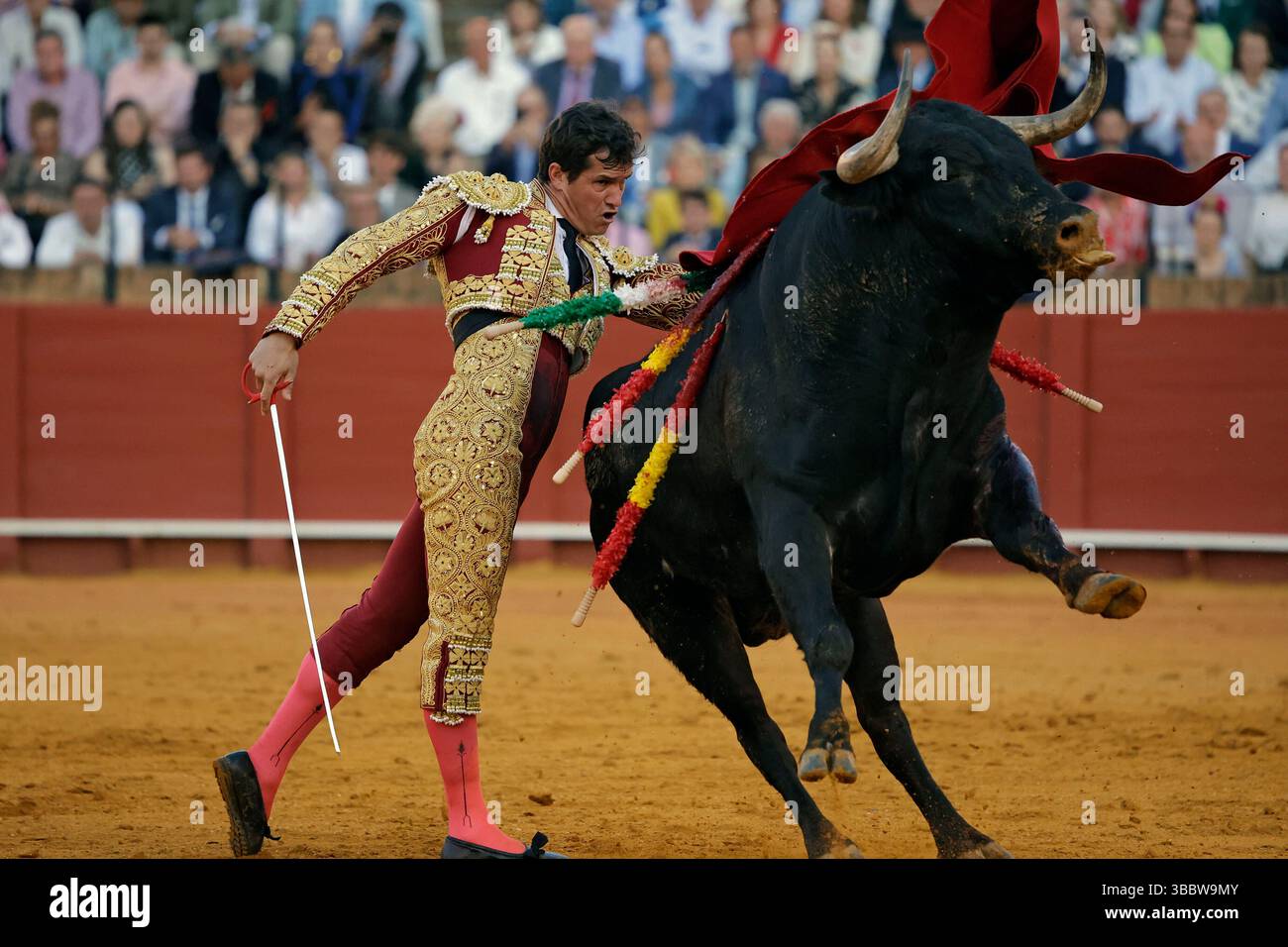 Seville, May 9, 2025. Bullfight held at La Maestranza for bullfighters ...