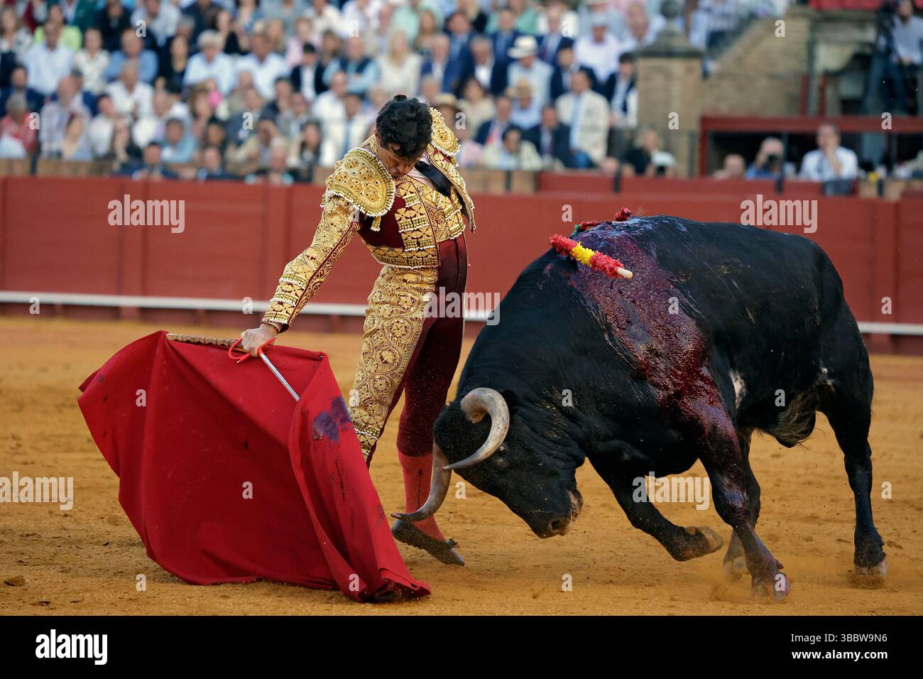 Seville, May 9, 2025. Bullfight held at La Maestranza for bullfighters ...