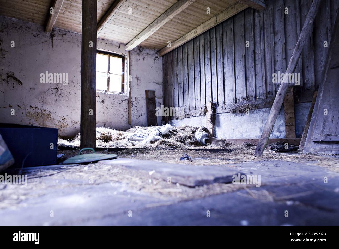 Inside shooting of a old and squalid building Stock Photo - Alamy