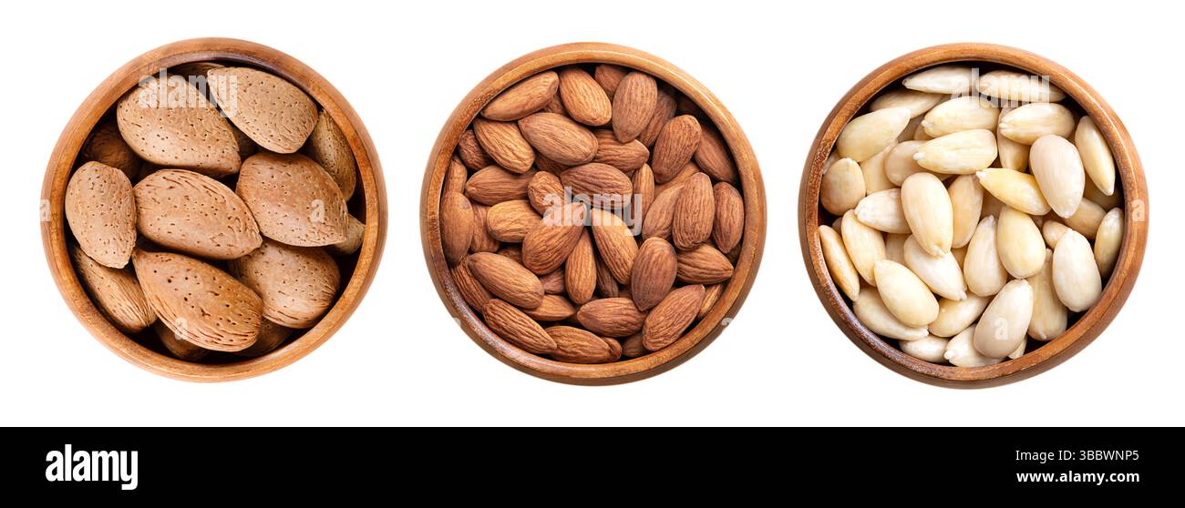 Skinless almonds Cut Out Stock Images & Pictures - Alamy