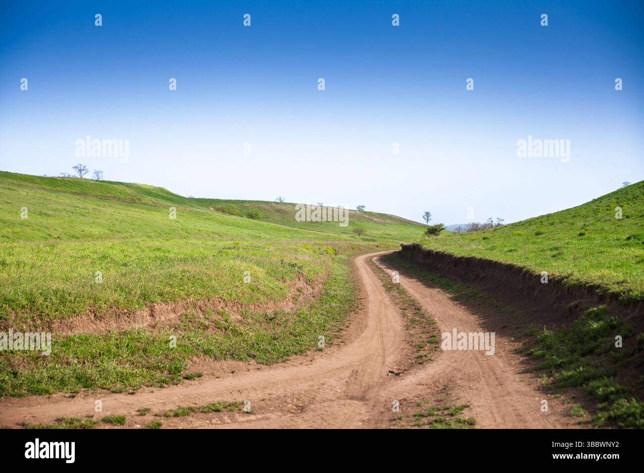 A winding dirt track snakes through bright spring grass on Titelski ...