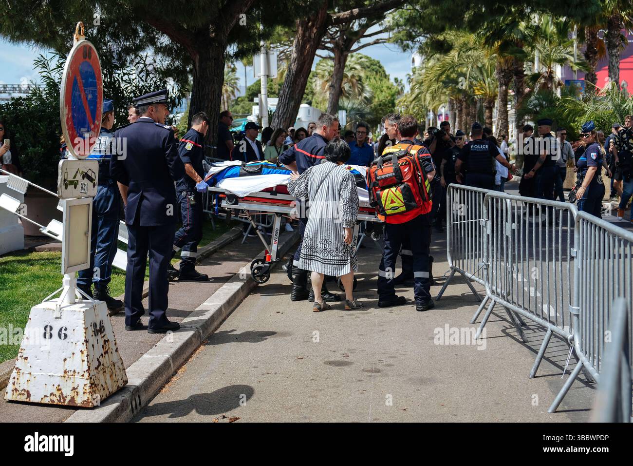 A palm tree fall on someone, and injured this person, on the Boulevard ...