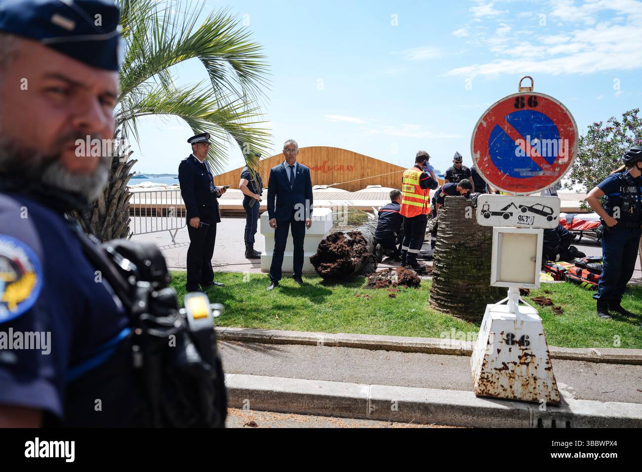 A palm tree fall on someone, and injured this person, on the Boulevard ...