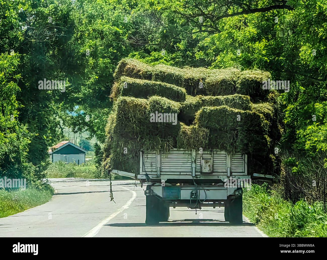 Hay Bales in Transit – Spring Road Scene Stock Photo - Alamy