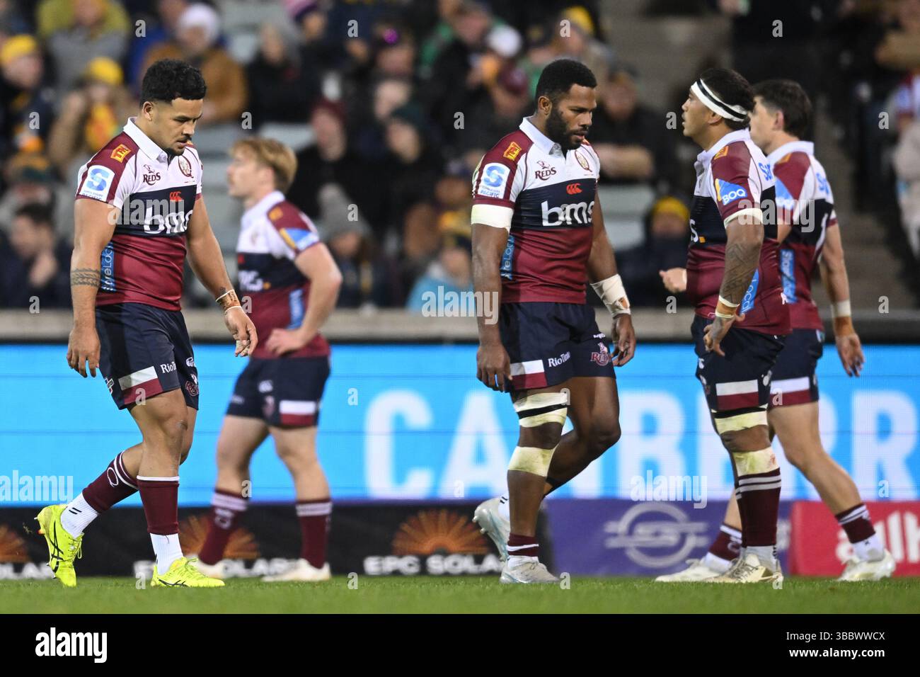 Canberra, Australia. 17th May, 2025. Hunter Paisami of the Reds and ...