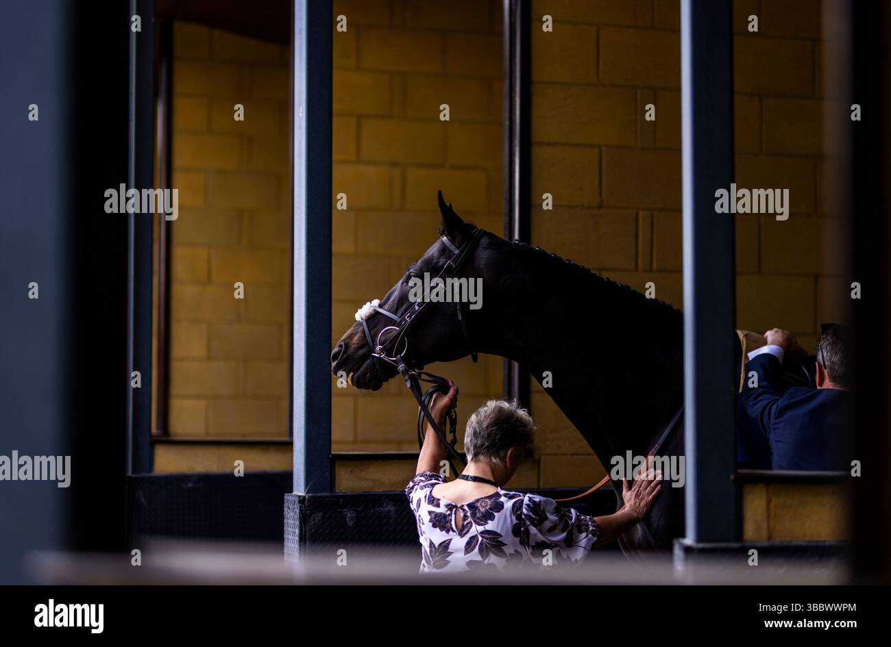 Eydon being prepared in the stables before the Sky Sports Racing Aston ...
