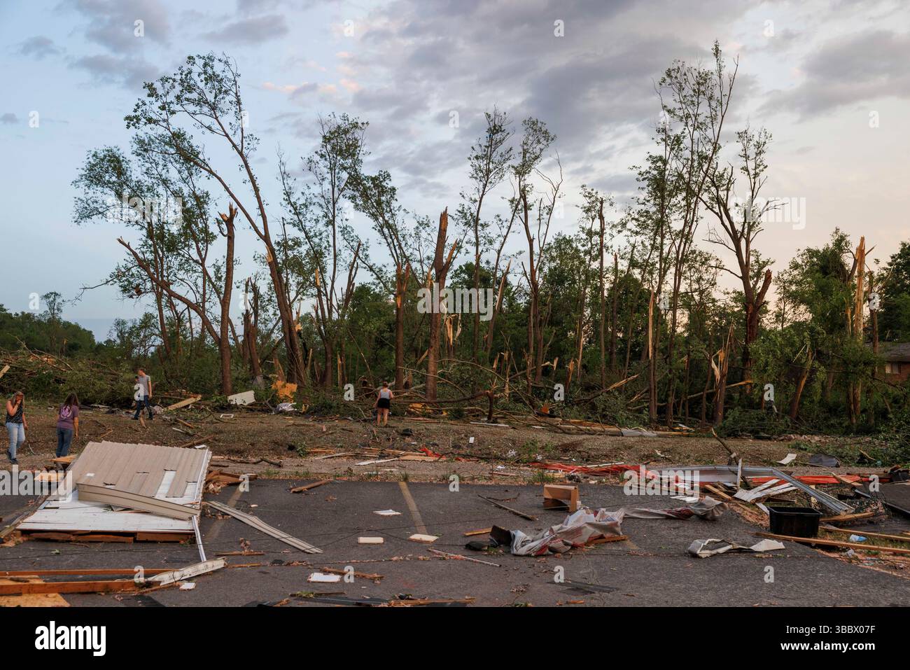 Trees are seen broken after a tornado. Several tornadoes hit Greene and ...