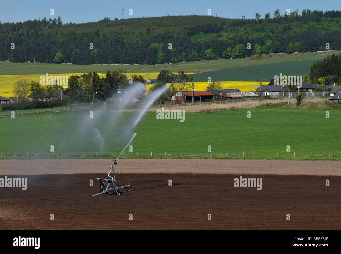 Scotland farming drought hi-res stock photography and images - Alamy