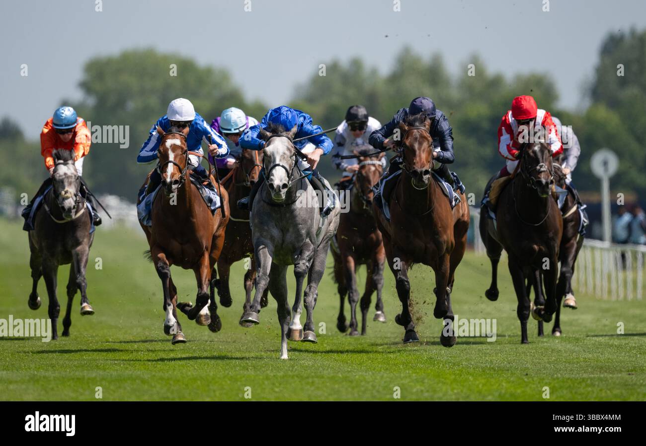 Symbol of honour horse hi-res stock photography and images - Alamy