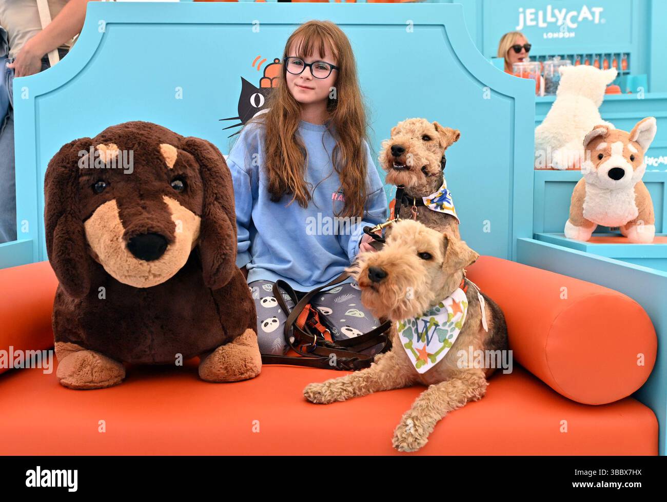 Letty Swindells, aged 10, with dogs Woody and Raffy at Goodwoof, held ...