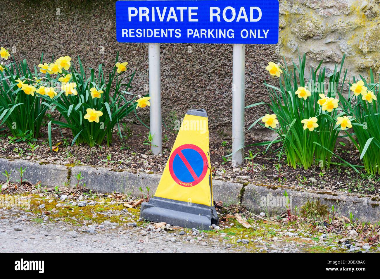 No parking private car park outside office building Stock Photo - Alamy