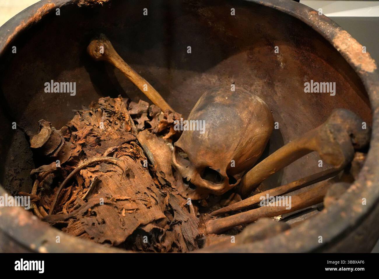TURIN, ITALY - MAY 14 2025 - prehistoric mummy at The Egyptian museum ...