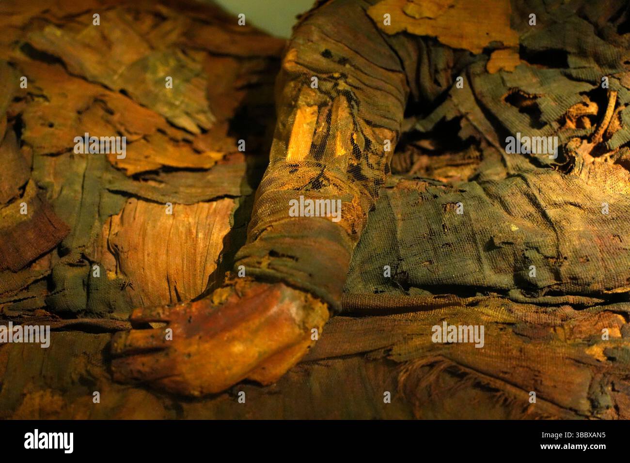 TURIN, ITALY - MAY 14 2025 - Mummy at The Egyptian museum is considered ...