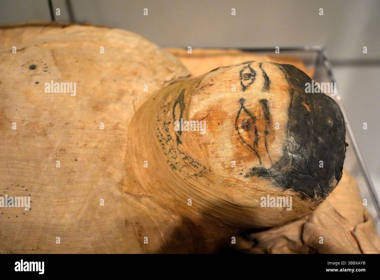TURIN, ITALY - MAY 14 2025 - Painted face mummy at The Egyptian museum ...
