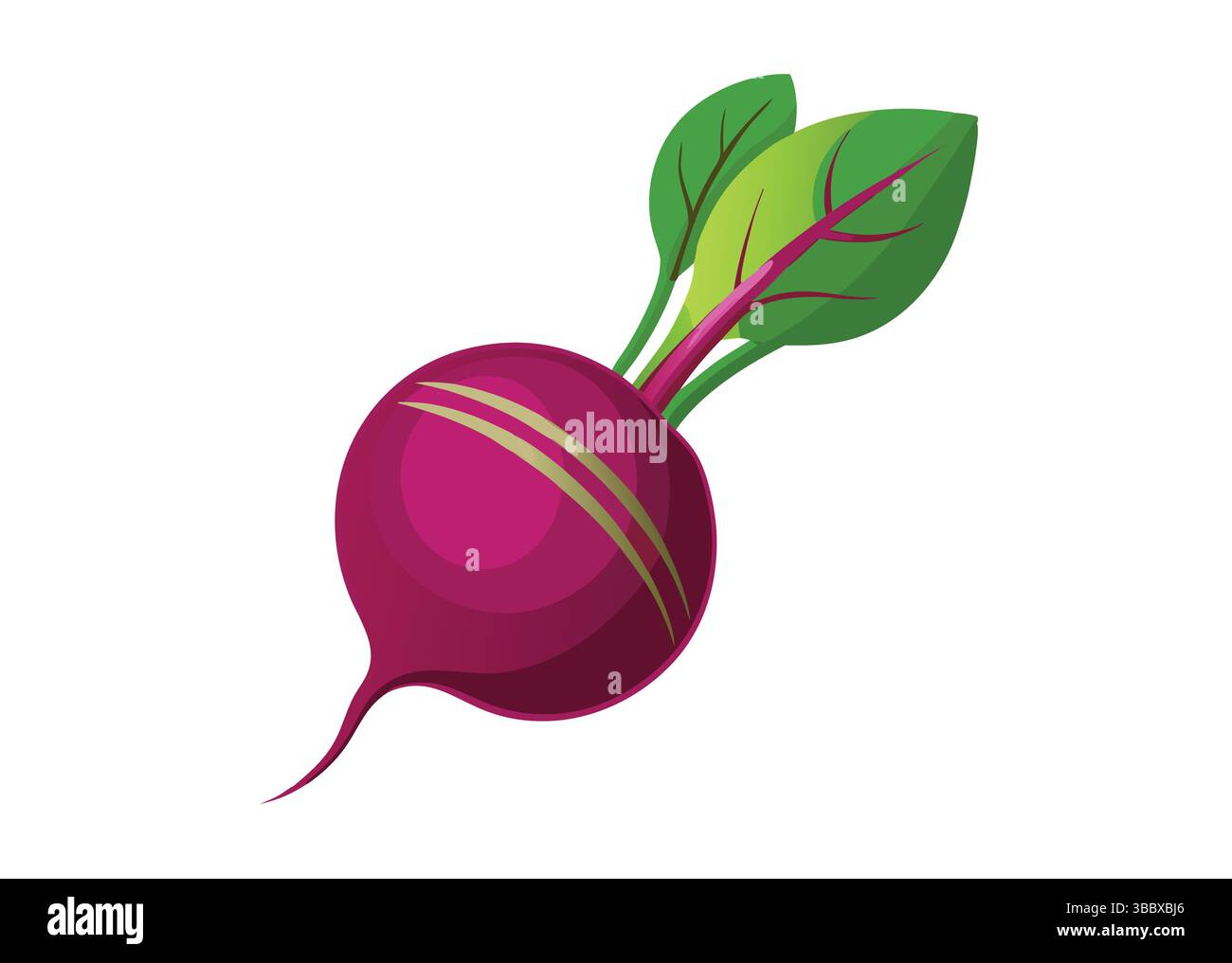 Beetroot vegetable logo icon hi-res stock photography and images - Alamy