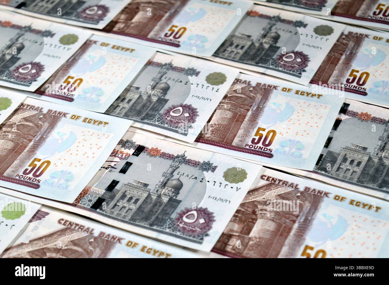 A pile of Egyptian money banknotes of 50 LE fifty pounds features Abu ...