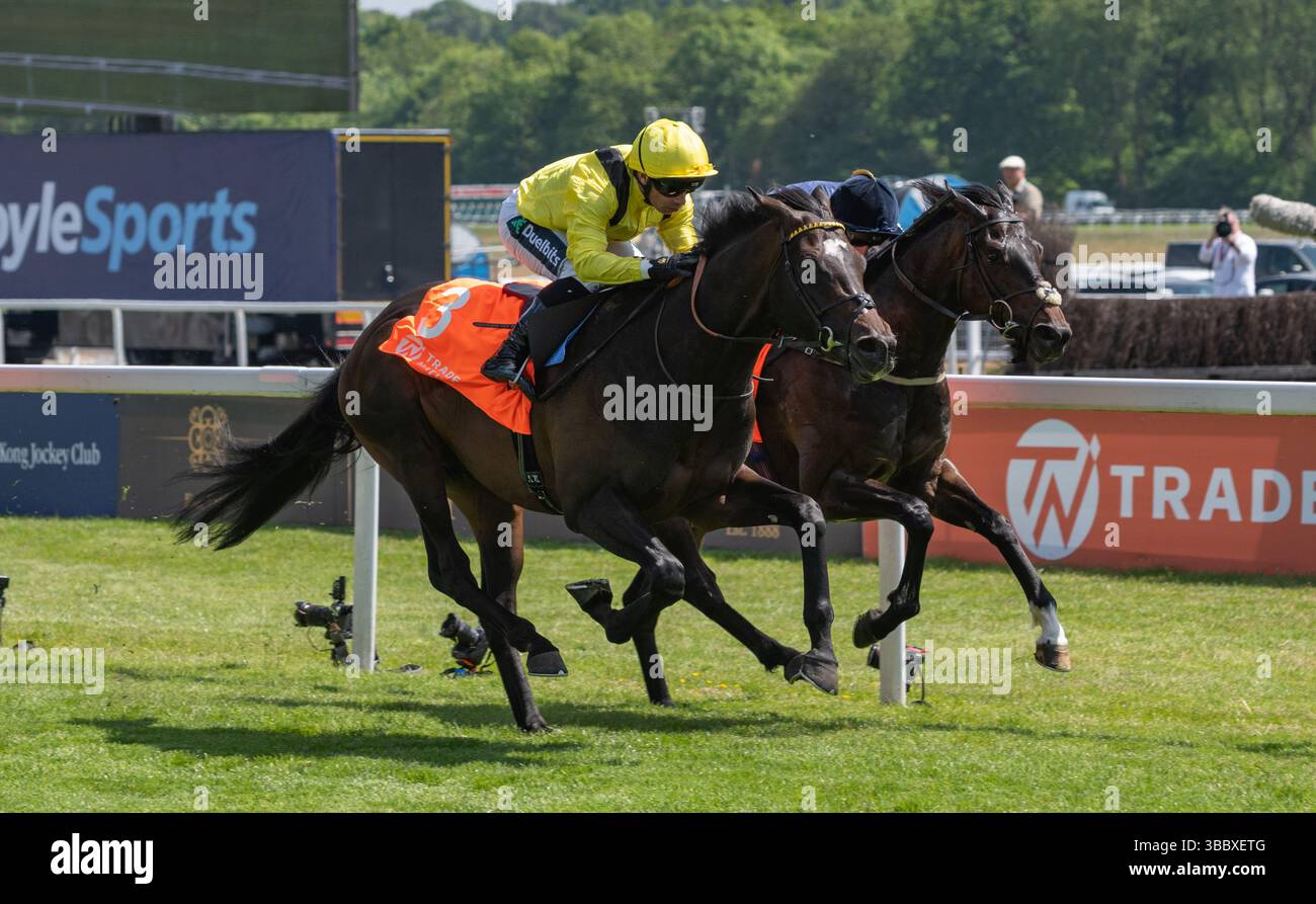 Saddadd and jockey Silvestre de Sousa win the Trade Nation London Gold ...