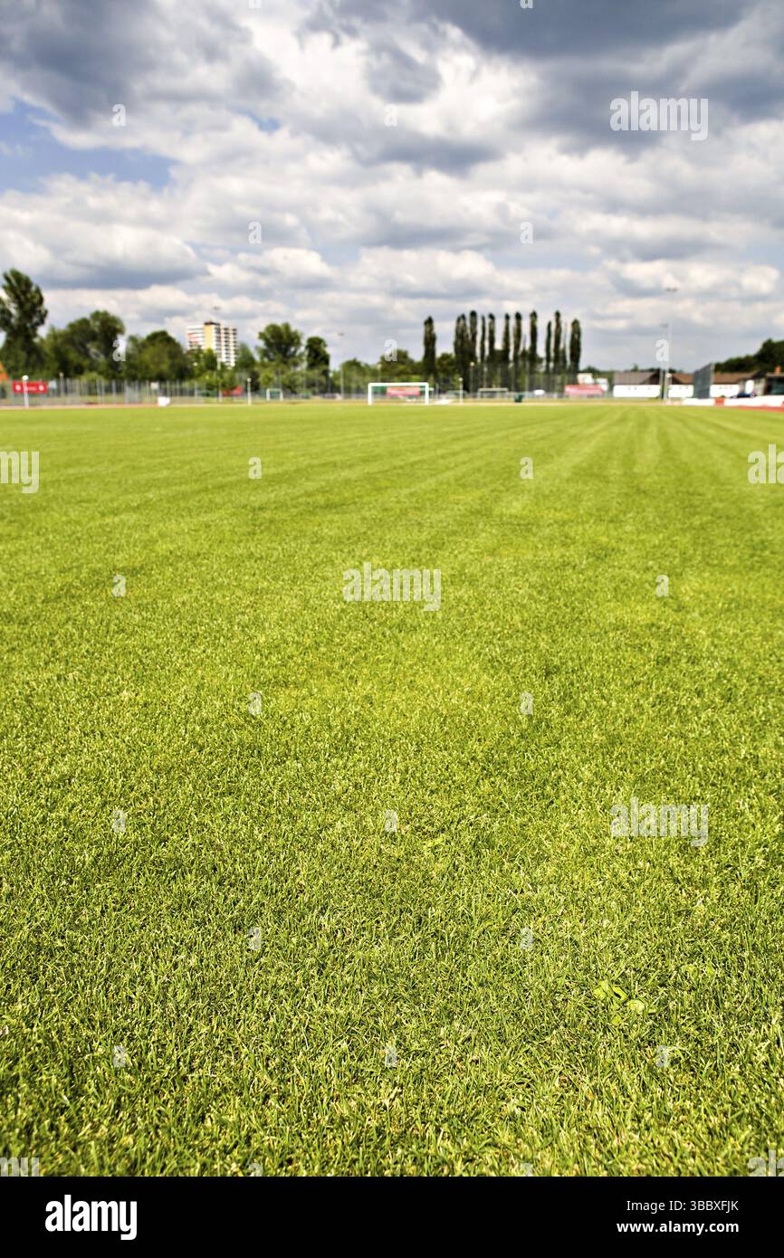 Close-up shut of a soccer field surface Stock Photo - Alamy