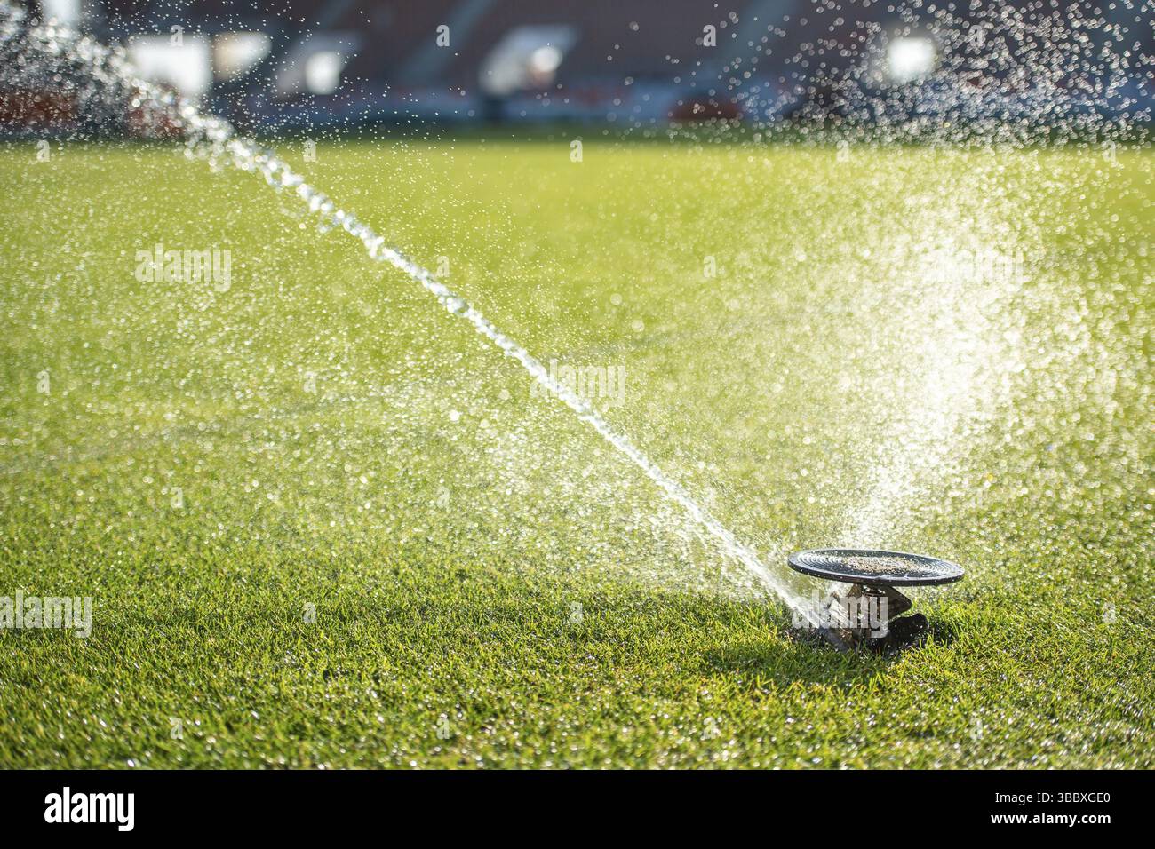 Watering grass at the football stadium Stock Photo - Alamy