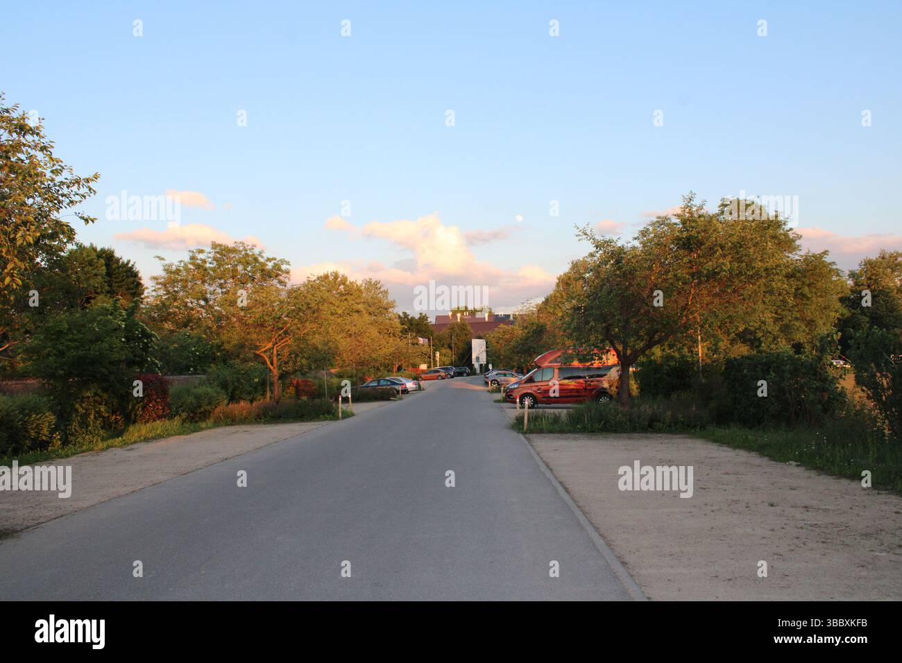 Evening sky trees hi-res stock photography and images - Alamy