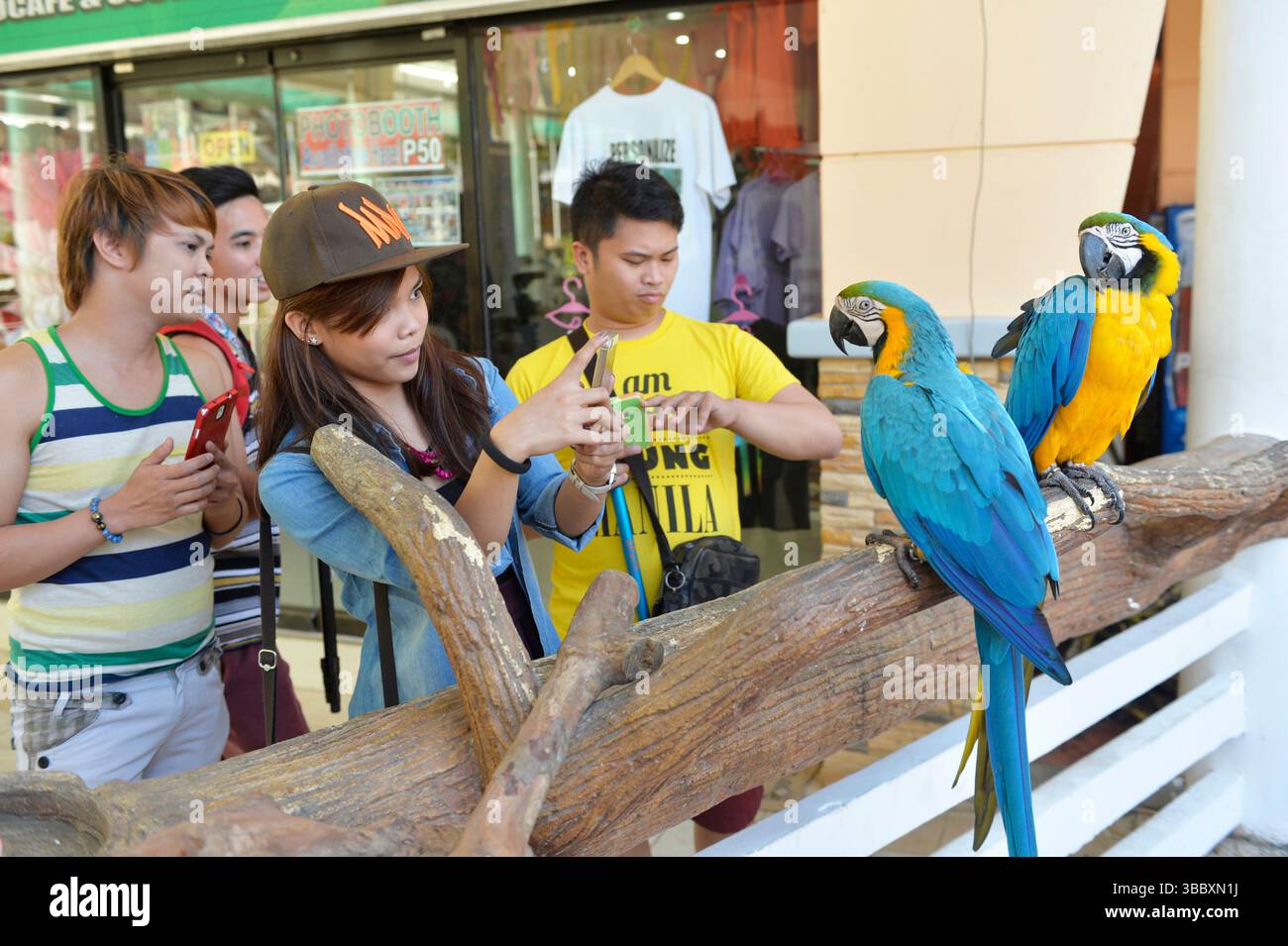Baluarte zoo in the city of Vigan in the province of Ilocos Sur in ...
