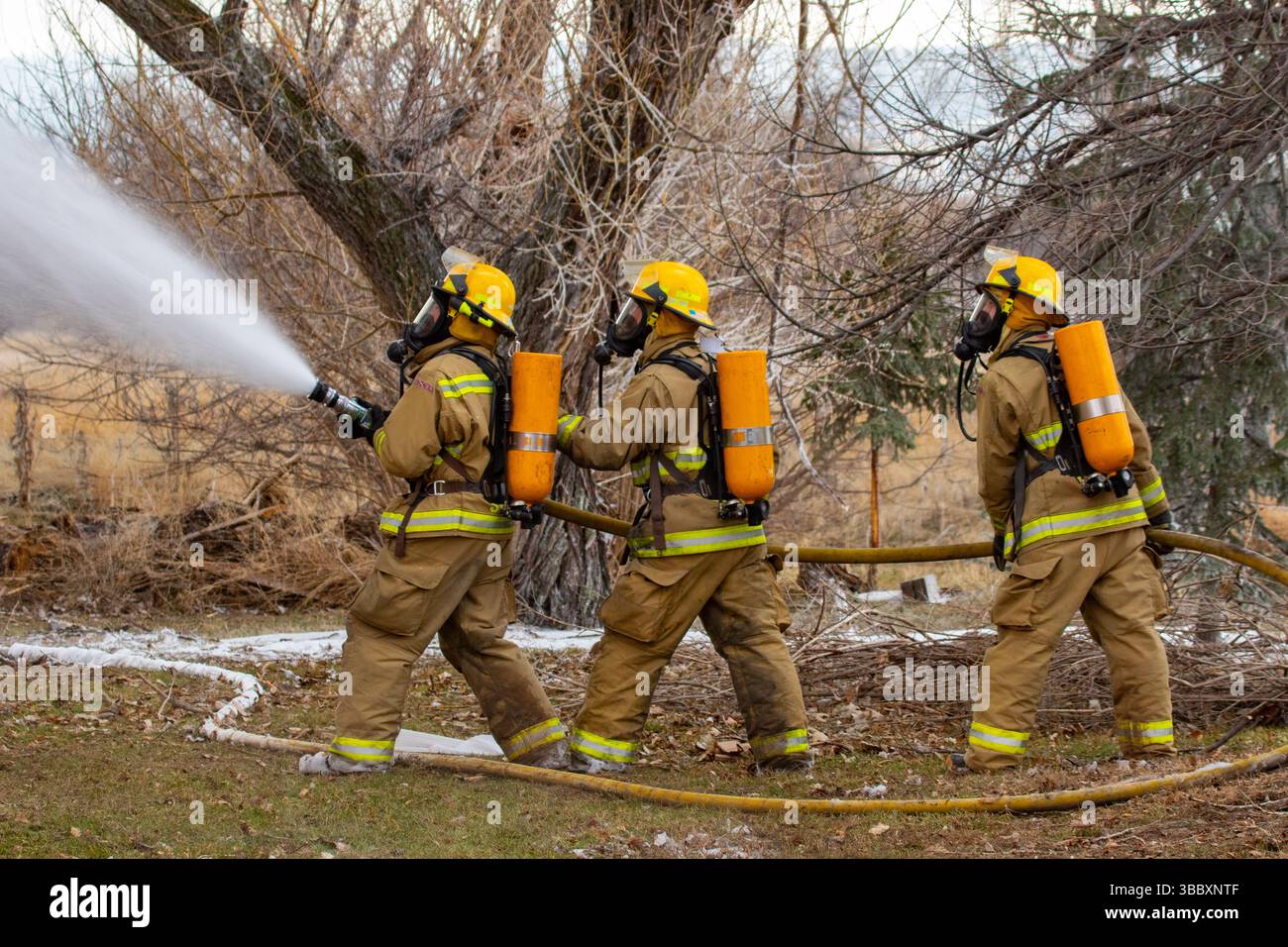 Three Firefighters spraying water on a fire Stock Photo - Alamy
