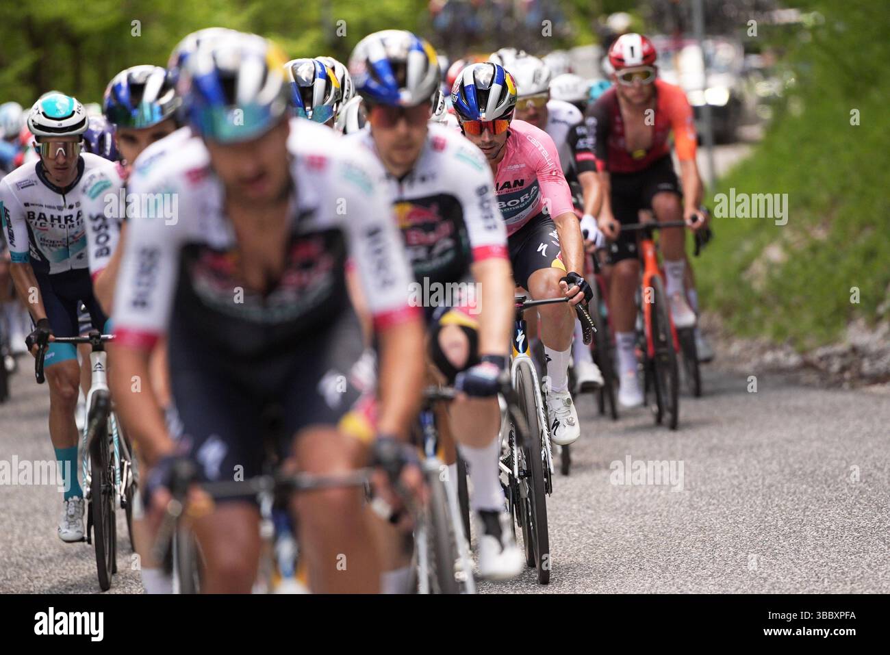 Castelraimondo Castelraimondo, Italia Italia. 17th May, 2025. The pack ...