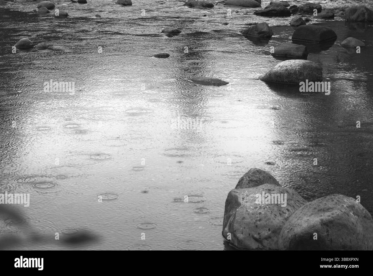 Gentle rhythm rain on hi-res stock photography and images - Alamy