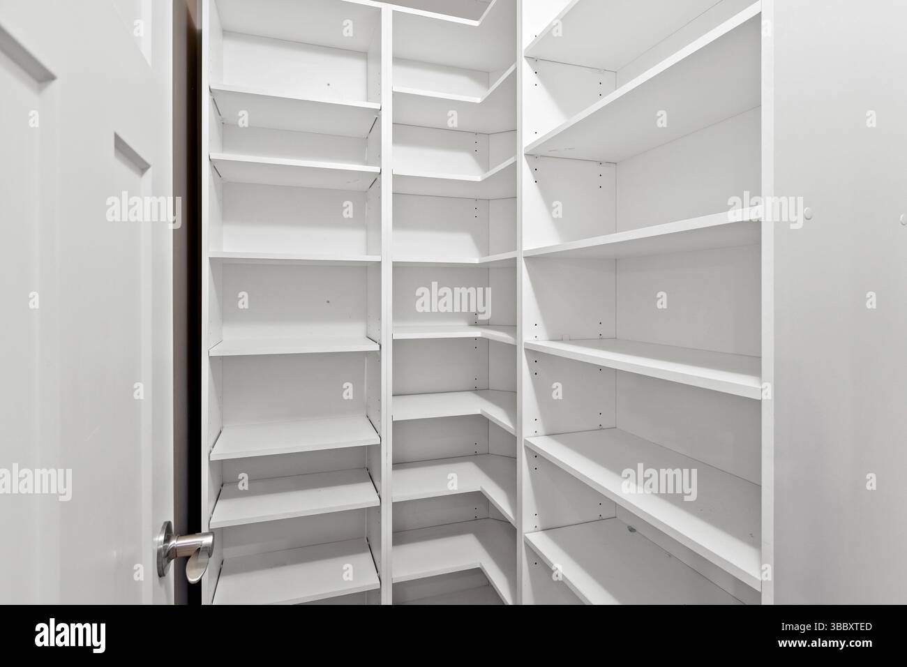 White pantry with shelves and a door. The pantry is empty and clean ...