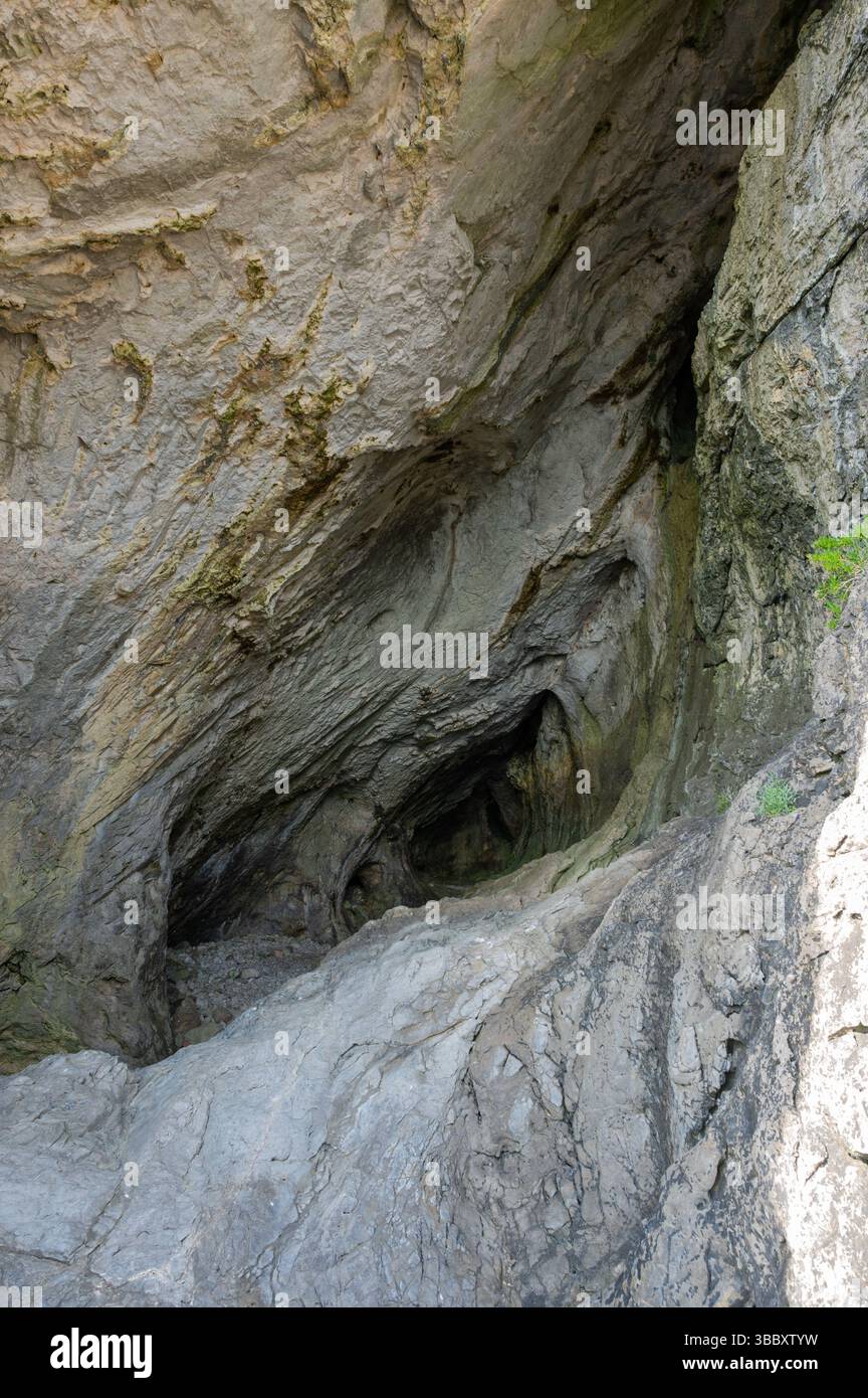 Interior of Paviland or Goats Hole Cave, South Gower cliffs, Wales, UK ...