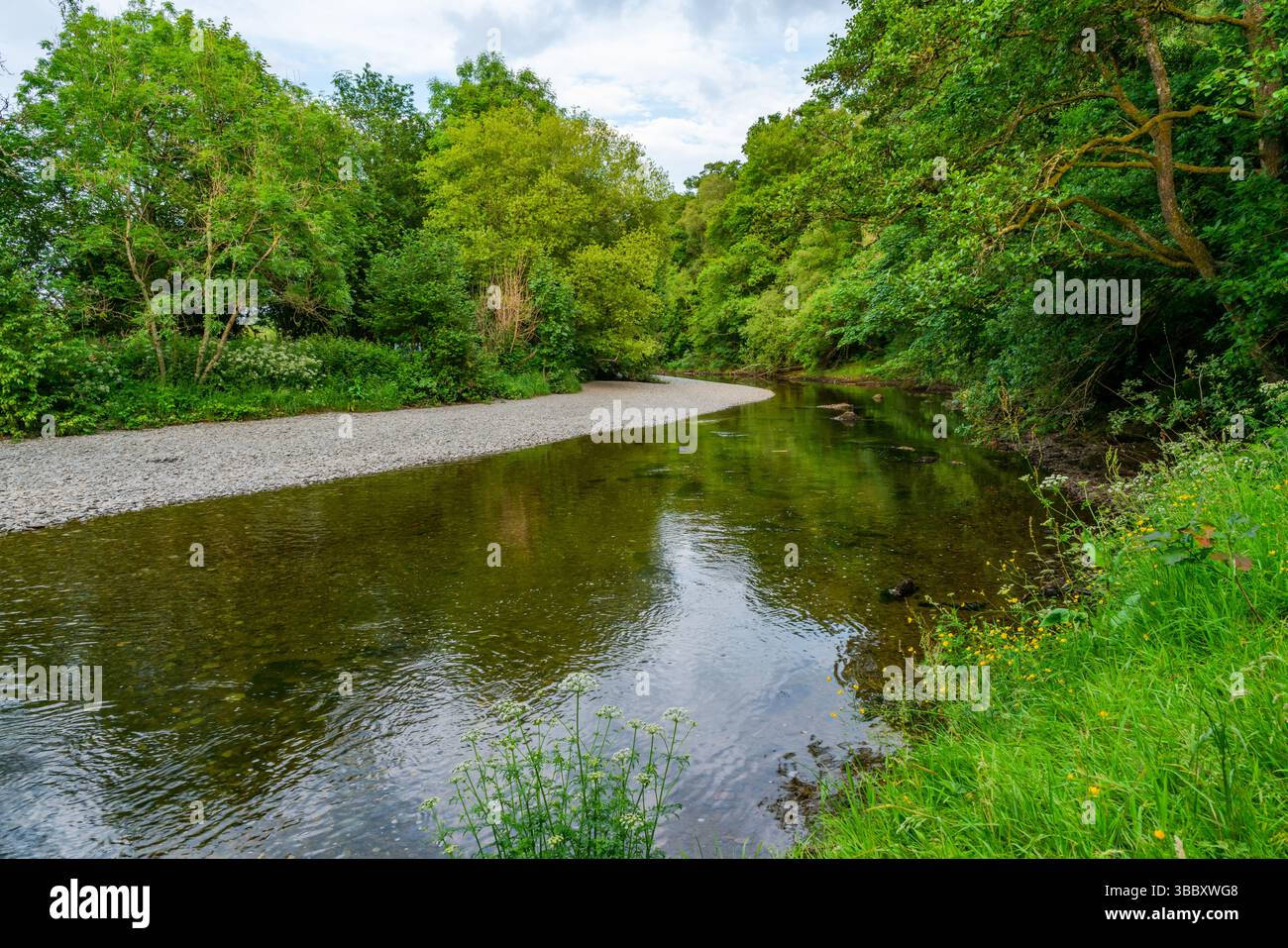 View of the River Wye in Rhayader, Elan Valley, Wales Stock Photo - Alamy