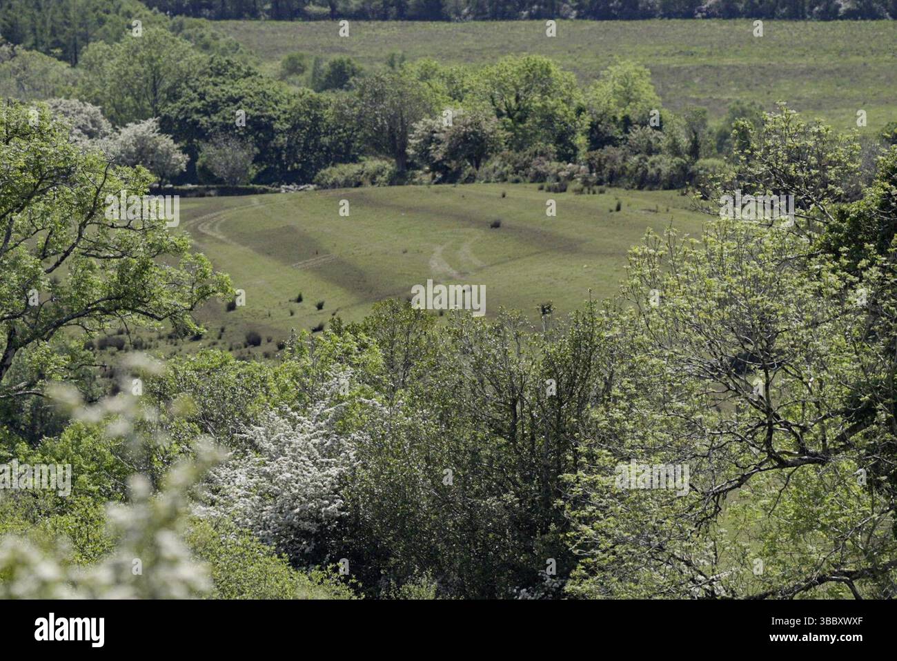 The scene in Carrig East, Kenmare, where Garda are investigating the ...