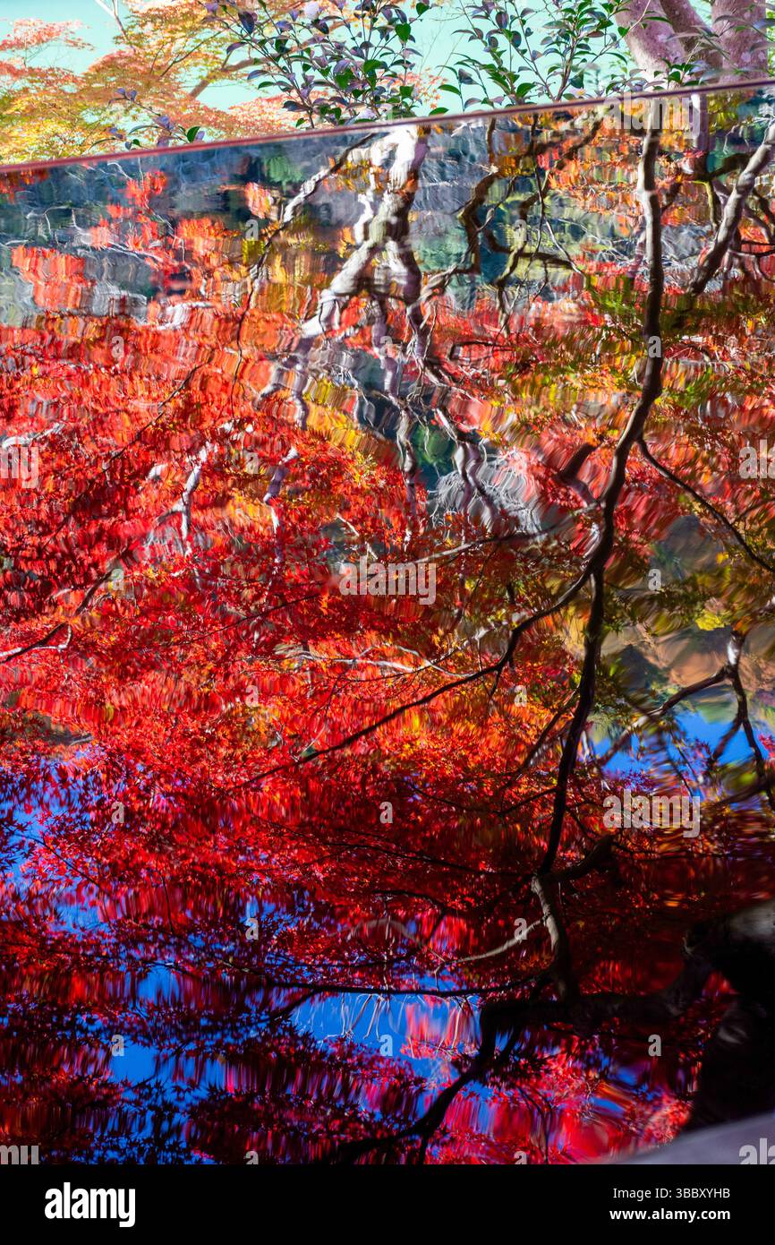 Reflection on water in Japanese garden Stock Photo - Alamy