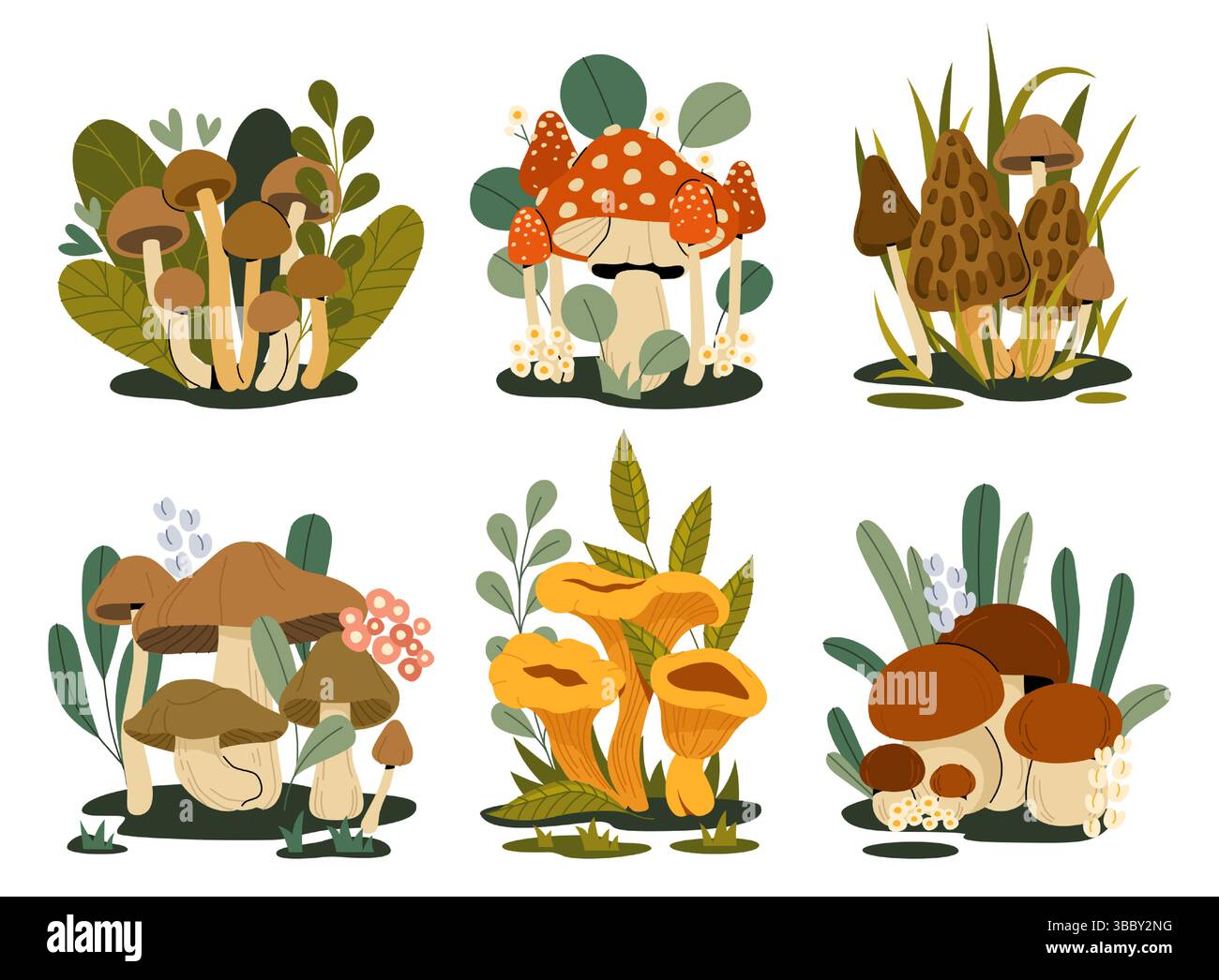 Poisonous leaves Cut Out Stock Images & Pictures - Alamy