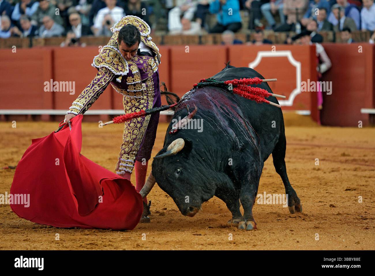 Seville, April 30, 2025. Bullfight held at La Maestranza for ...