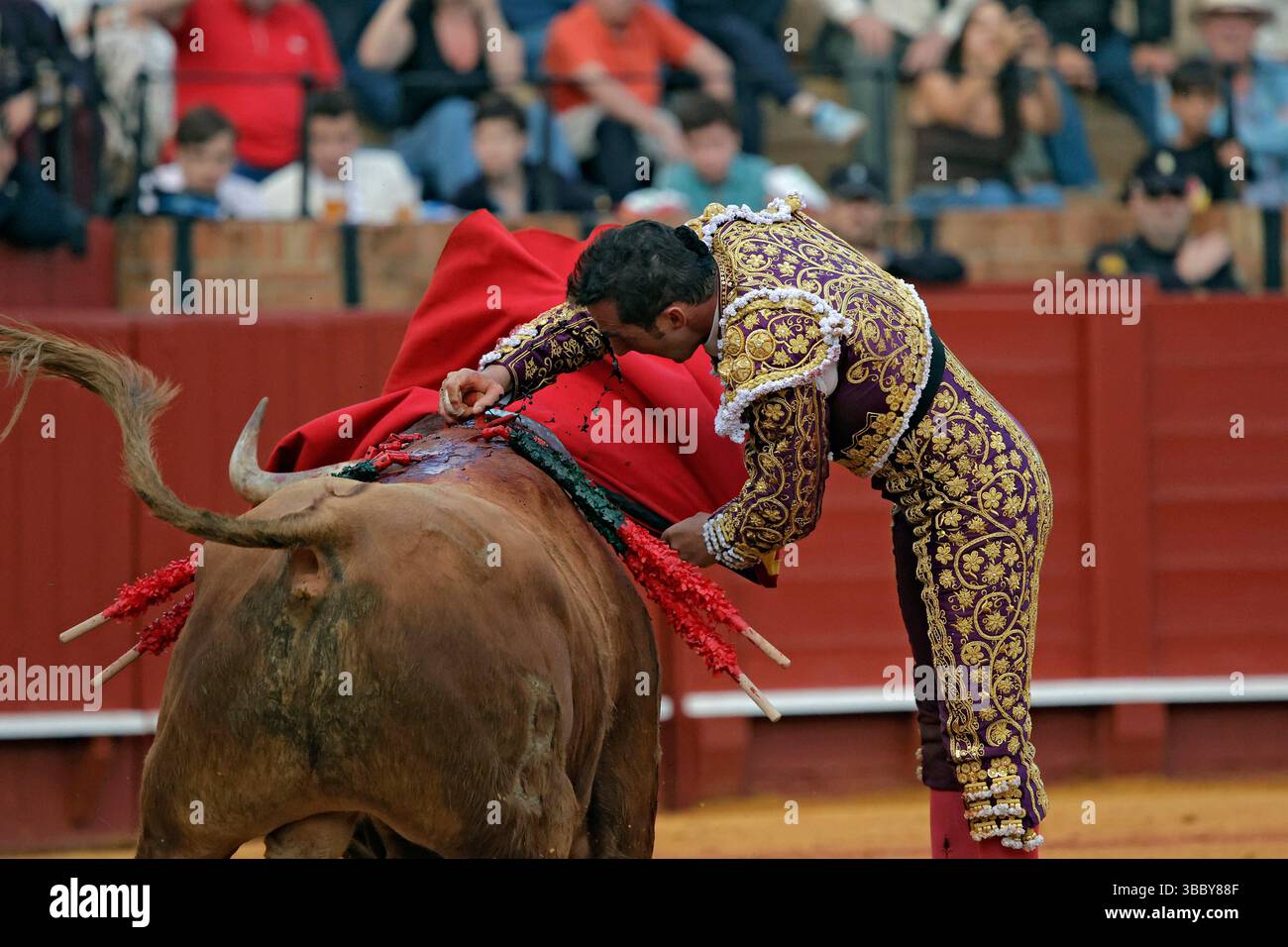 Seville, April 30, 2025. Bullfight held at La Maestranza for ...