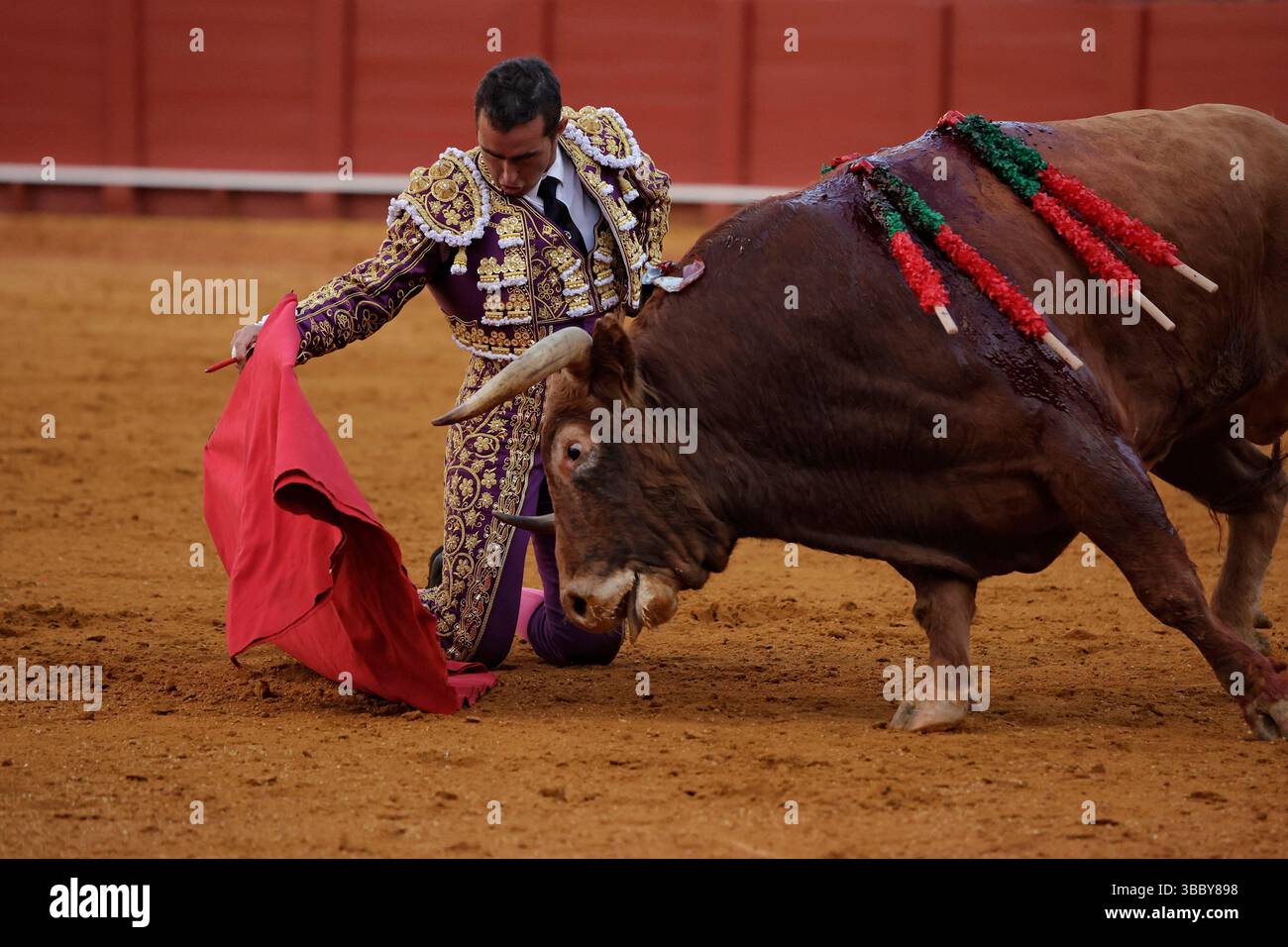 Seville, April 30, 2025. Bullfight held at La Maestranza for ...