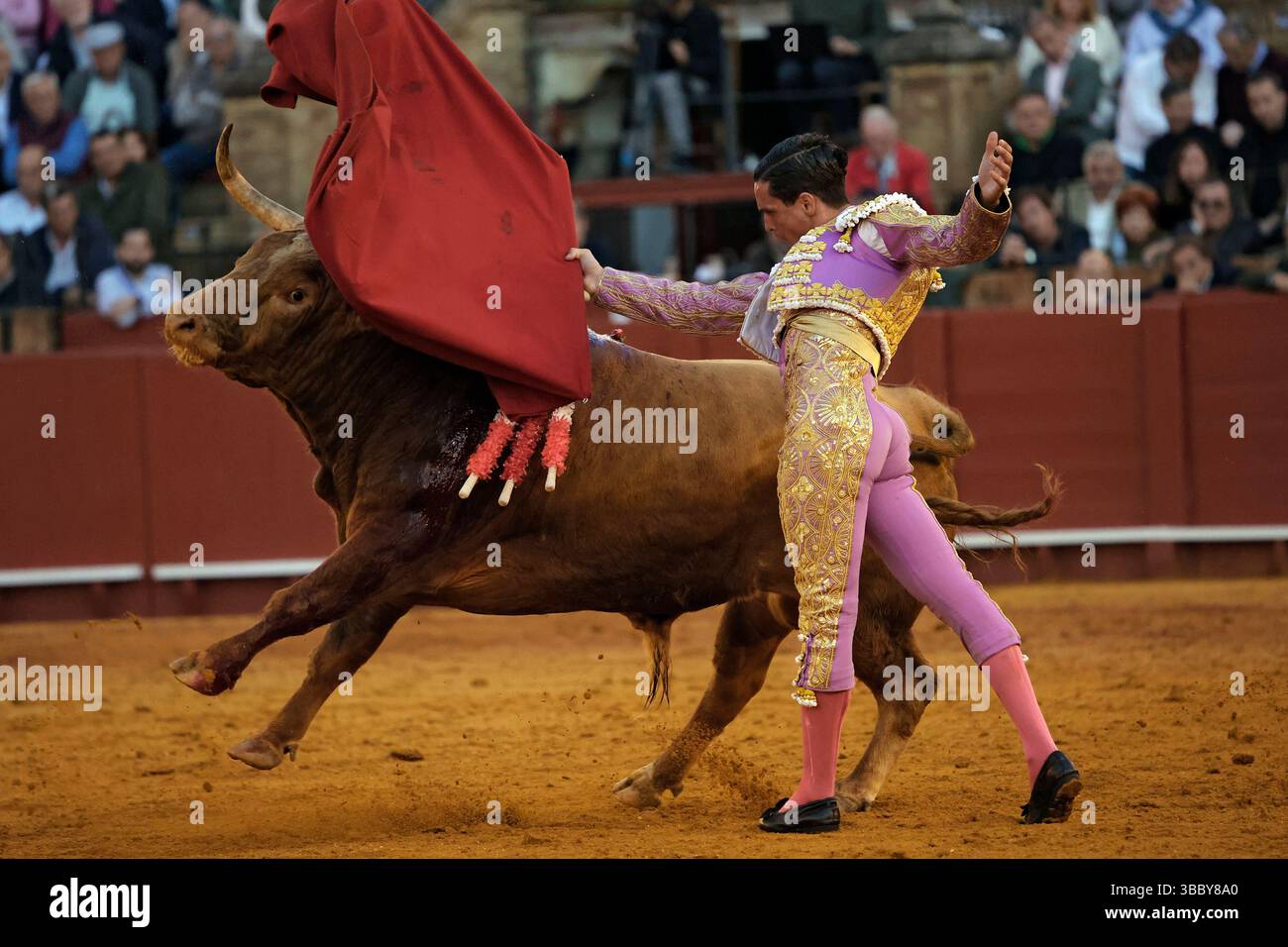 Seville, April 30, 2025. Bullfight held at La Maestranza for ...