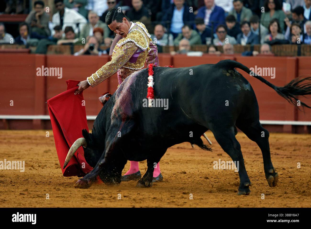 Seville, April 30, 2025. Bullfight held at La Maestranza for ...
