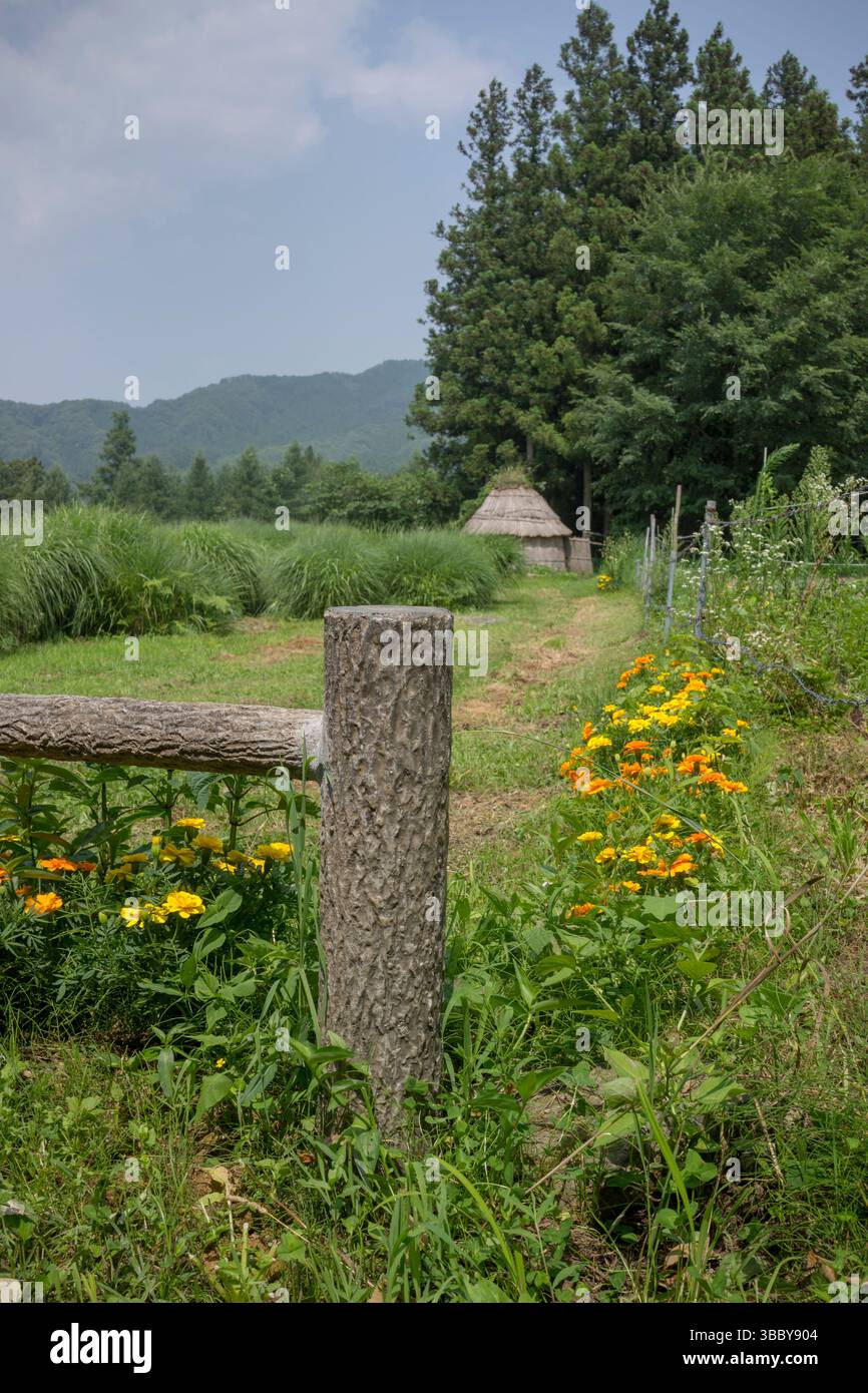 Japanese hut hi-res stock photography and images - Alamy